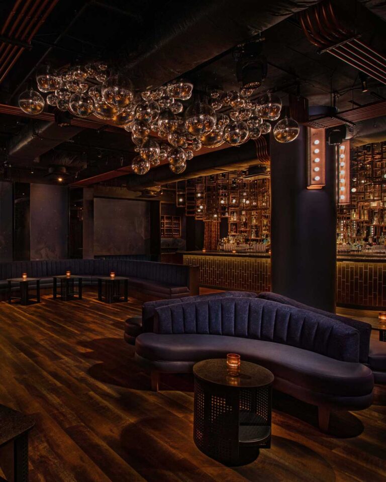 Partying In NYC: A Guide to the City's Best Dance Clubs | New York City ...